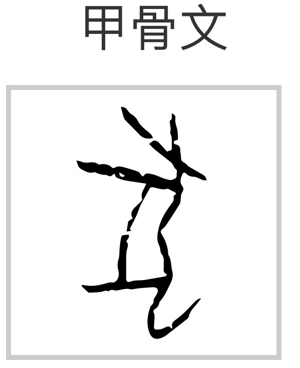 Cats and Dogs – Learn Chinese with Me